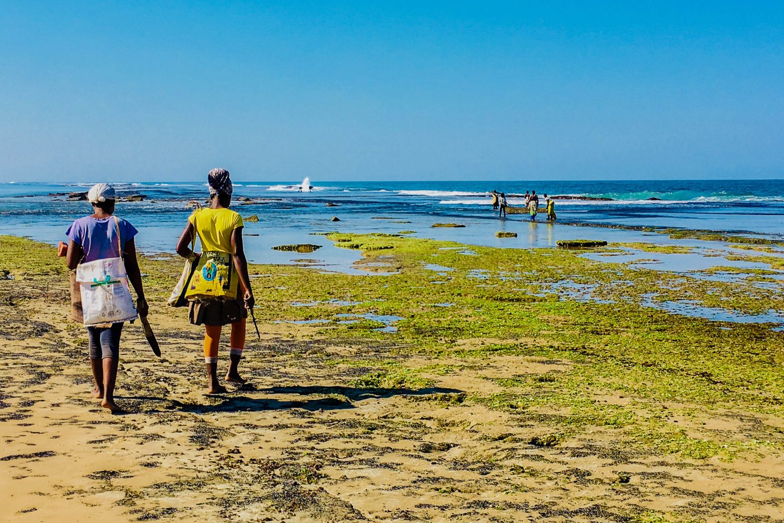 Merry Christmas – REEF RESORT XAI-XAI